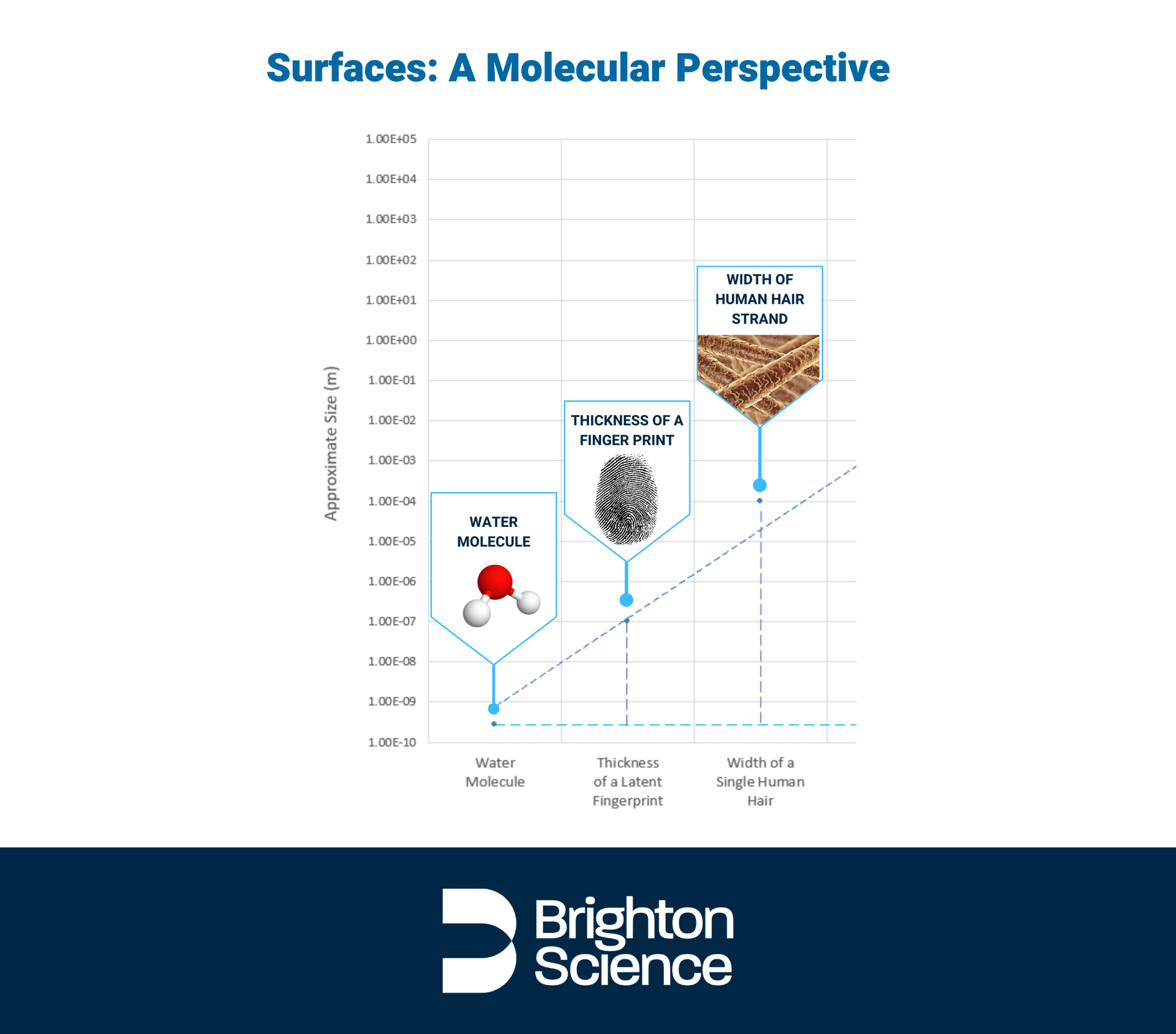 The Hidden Factor in Product Performance: Why the Top Few Molecular ...
