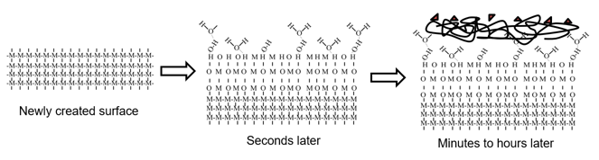How to Control Additive Blooming in Polymer Films