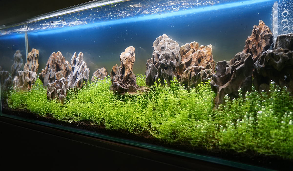 How to Control Surface Quality for Bonding Dissimilar Materials